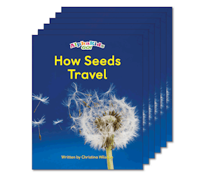 How Seeds Travel 6-Pack