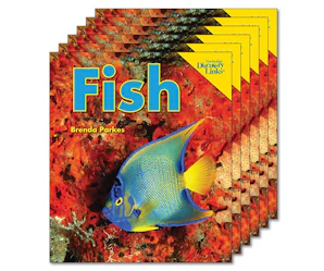Fish 6-Pack