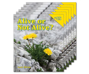 Alive or Not Alive 6-Pack