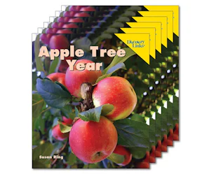 Apple Tree Year 6-Pack