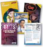 Culturally Responsive Libraries - Sundance Newbridge